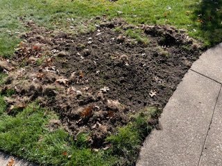 BROOKSIDE LAWN SERVICE - Updated April 2026 - 28 Photos & 67 Reviews ...