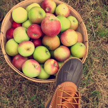 WILKENS FRUIT AND FIR FARM - Updated May 2025 - 350 Photos & 193 ...