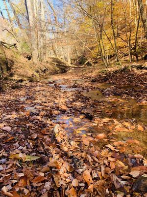 CHIEF LOGAN STATE PARK - Updated June 2026 - 19 Photos - 376 Little ...