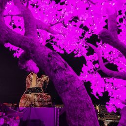 G7 ROOFTOP - Updated March 2025 - 98 Photos & 40 Reviews - 5510 S State ...