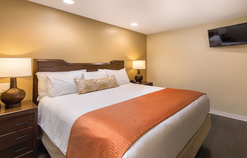 ORANGE TREE RESORT - Updated January 2026 - 295 Photos & 250 Reviews ...