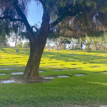 EL TORO MEMORIAL PARK - Updated October 2025 - 98 Photos & 29 Reviews ...