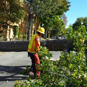 EDD DISABILITY INSURANCE OFFICE - Updated April 2025 - 888 S Figueroa ...