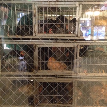 BYM POULTRY - Updated January 2026 - 81 Broadway, Paterson, New Jersey ...