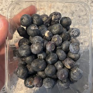 DILLONS 72 - Updated June 2025 - 11 Reviews - 10515 W Central Ave ...