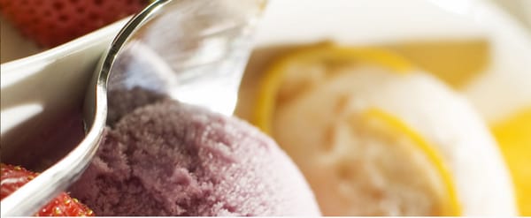 GELATO FINO DESSERTS - Updated July 2025 - 1627 NW 38th Ave, Fort ...