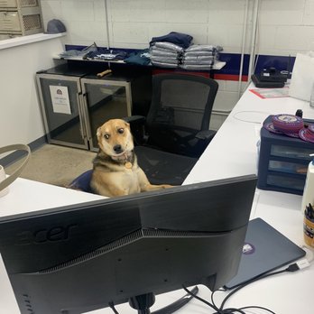 F45 TRAINING - RINO - Updated January 2026 - 29 Photos - 3406 Blake St ...