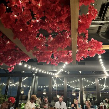 LUCHA ROSA ROOFTOP BAR - Updated May 2024 - 169 Photos & 76 Reviews ...