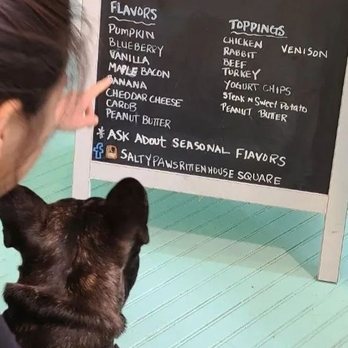 SALTY PAWS - Updated October 2025 - 62 Photos & 19 Reviews - 1352 South ...
