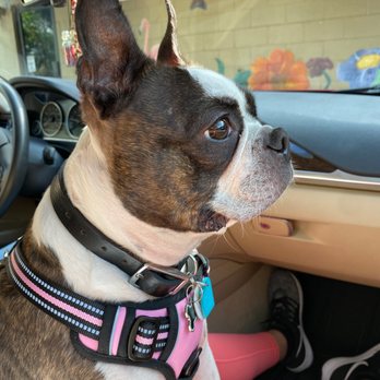 BRAVO ANIMAL CLINIC - Updated October 2025 - 30 Photos & 59 Reviews ...