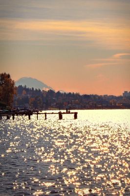 WAVERLY BEACH PARK - 67 Photos & 27 Reviews - 633 Waverly Way, Kirkland ...