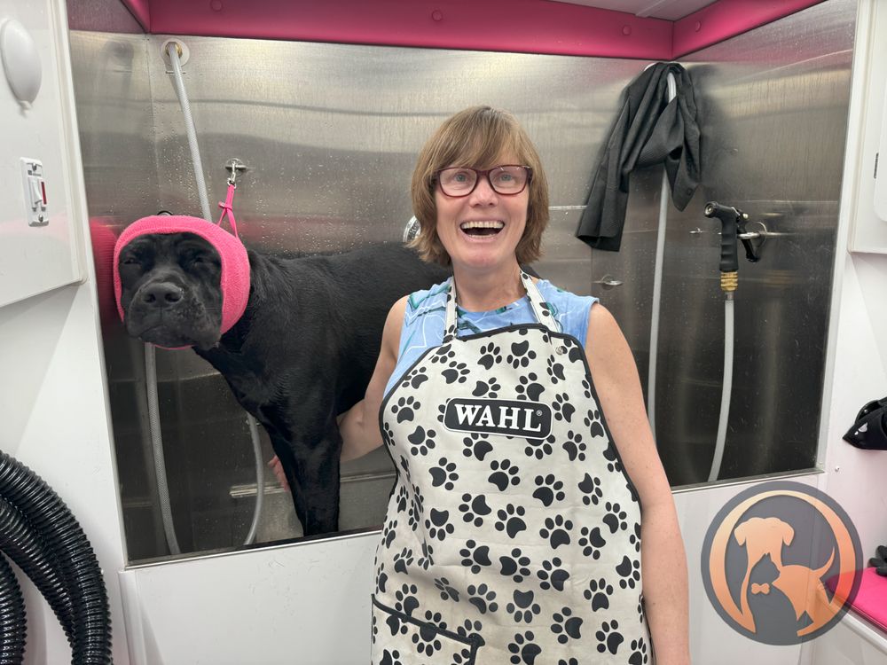 Mobile Dog Grooming Frisco Tx