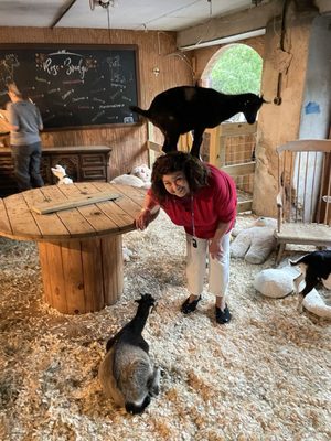 ROSE BRIDGE FARM & SANCTUARY - Updated September 2024 - 195 Photos & 78 ...