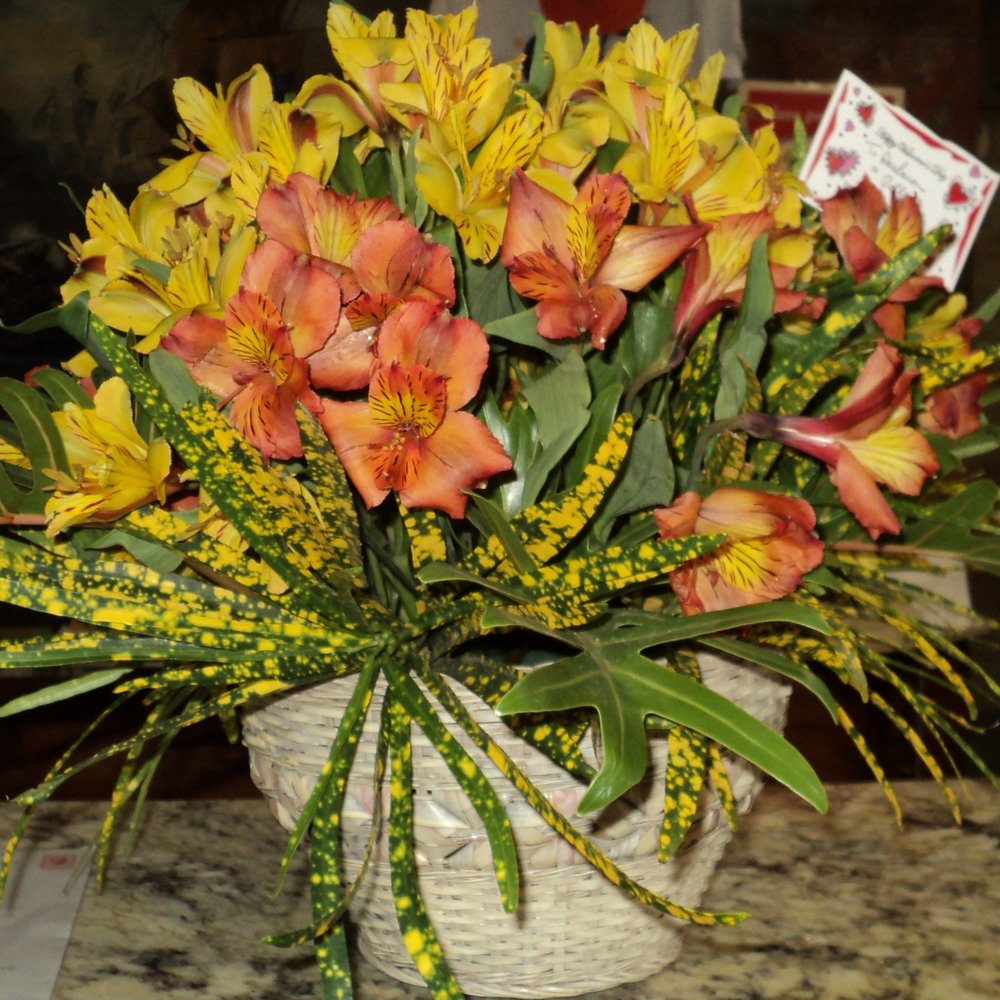 Flower Delivery Mayaguez Puerto Rico | Best Flower Site
