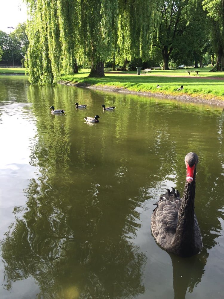 PARC CLÉMENCEAU - Rue Fin de la Guerre, Tourcoing, Nord, France - Yelp