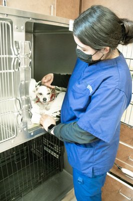 CENTRAL COAST COLLEGE - Updated December 2025 - 37 Photos & 26 Reviews ...