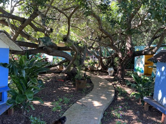 SURF CAT RANCH - MAUI CAT SANCTUARY - Updated October 2025 - 13 Photos ...