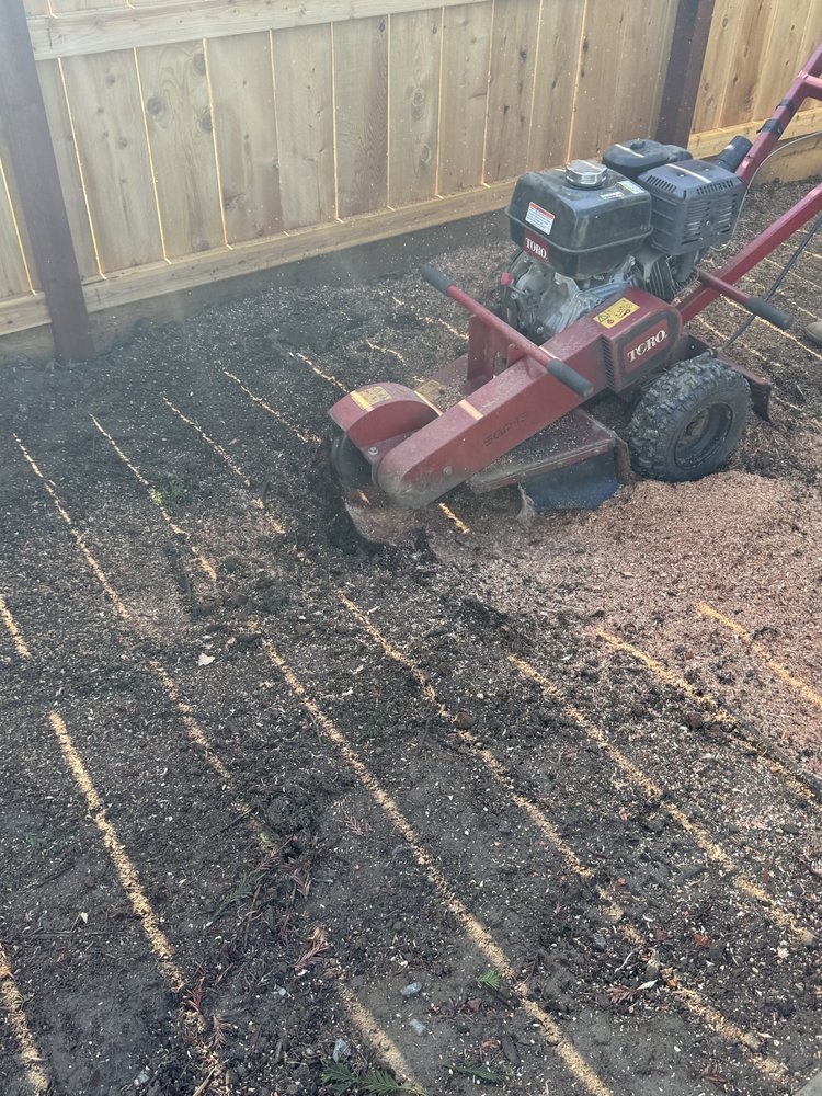 SANCHEZ STUMPING - Updated May 2024 - Request a Quote - Reedley ...