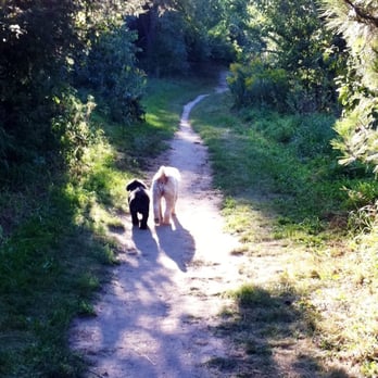 STARING LAKE DOG PARK - Updated September 2025 - 17 Photos - 13800 ...