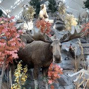 Scheels - 145 Photos & 168 Reviews - Sporting Goods - 11282 S State St ...