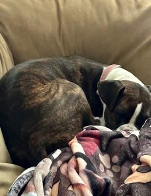 ANIMAL ARK VETERINARY HOSPITAL - Updated October 2025 - 103 Photos & 53 ...