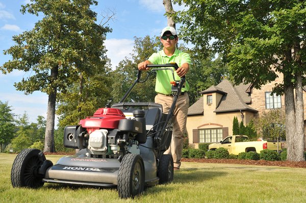 WAYNES PEST CONTROL - Updated December 2025 - 16 Photos & 24 Reviews ...