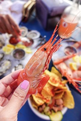 TAYLOR SHELLFISH FARMS - 1219 Photos & 333 Reviews - 2182 Chuckanut Dr ...