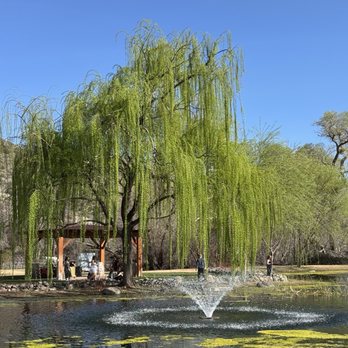 DA RANCH - Updated October 2025 - 370 Photos & 146 Reviews - 1901 N ...