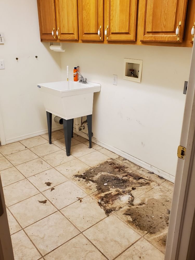 TLC WITH T&C CLEANING - Request a Quote - 11 Photos - 25555 Powell Rd ...