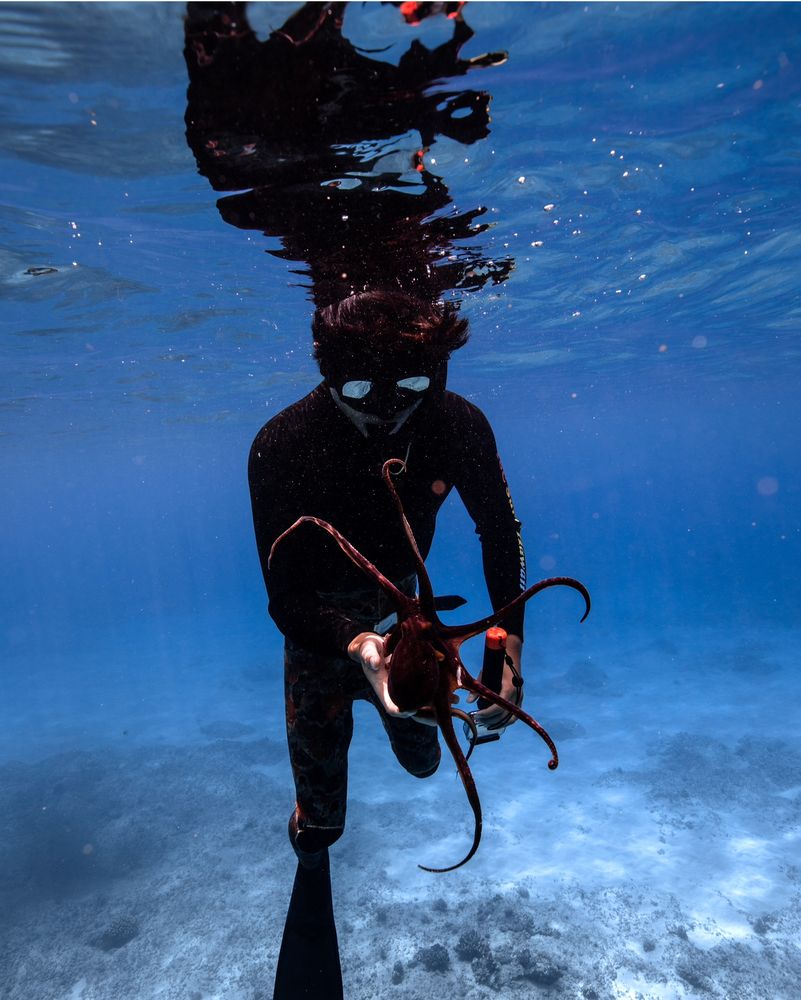 CAPTAIN MAX BOAT TOURS - Updated December 2025 - 717 Photos & 135 ...