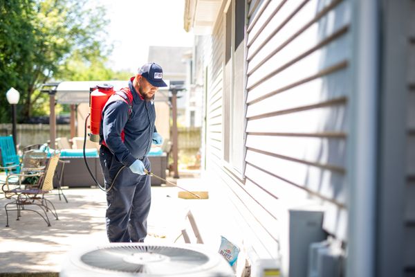 FOX PEST CONTROL - MIDLAND - Updated December 2025 - 22 Photos & 33 ...