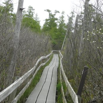 VOLO BOG STATE NATURAL AREA - Updated August 2025 - 63 Photos & 34 ...