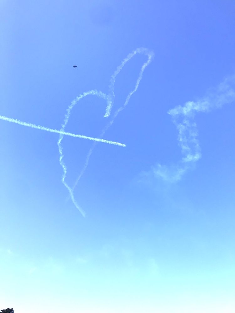 NATIONAL MARITIME MUSEUM LIBRARY - Fort Mason, San Francisco ...