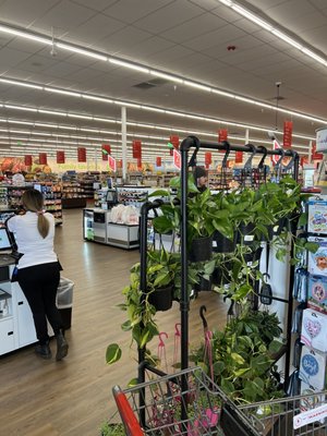 STATER BROS. MARKETS - Updated June 2025 - 39 Photos & 48 Reviews ...