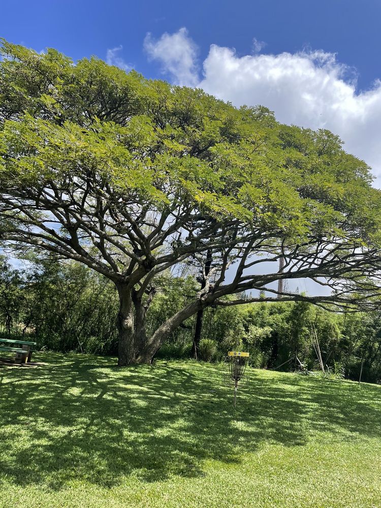 NAPILI PARK - Updated September 2025 - 16 Photos - 22 Maiha St, Lahaina ...