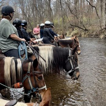 SHEEDER MILL FARM - Updated October 2025 - 96 Photos & 58 Reviews - 12 ...