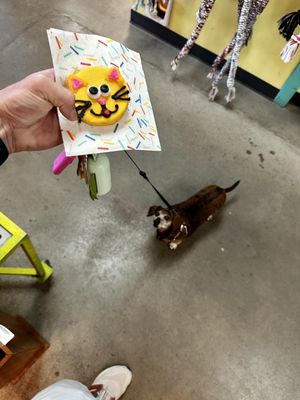 URBAN TAILS PET SUPPLY - Updated July 2025 - 66 Photos & 73 Reviews ...