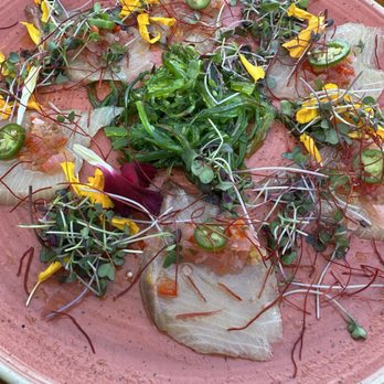 BASHI - Updated November 2024 - 772 Photos & 333 Reviews - 100 Terranea ...