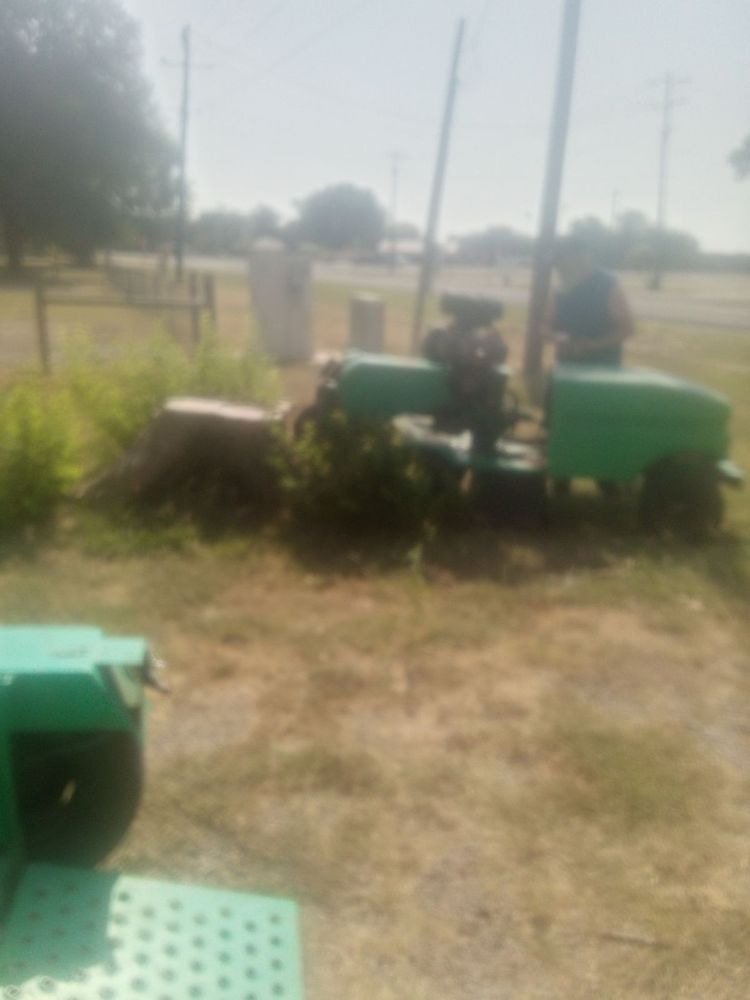 The Tree Guy - Serving Paris, TX - Updated November 2025 - 5 Photos - 1 ...