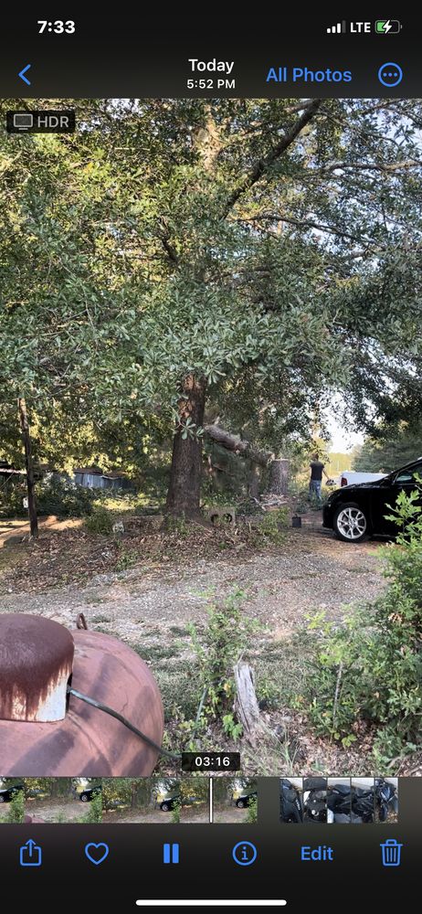 HIGH RIGGERS TREE SERVICES - Updated January 2025 - Request a Quote ...