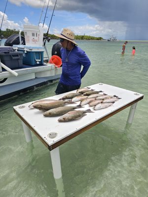 OUTBACK WITH JACK - Updated October 2025 - 18 Photos - Key West ...