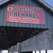 BJ REECE ORCHARDS - 319 Photos & 126 Reviews - Fruits & Veggies - 9131 ...