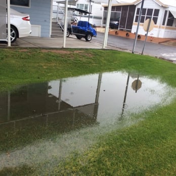 ENCORE PARADISE - Updated October 2025 - 28 Photos & 21 Reviews - 10950 ...