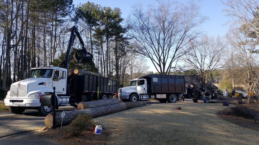 CHIPPER TREE SERVICE - Updated December 2024 - Alpharetta, Georgia ...