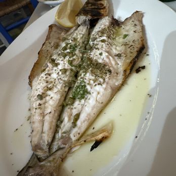 CALISTA GREEK SEAFOOD TAVERNA - Updated January 2025 - 322 Photos & 196 ...