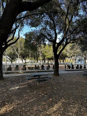 ARENA GREEN - Updated December 2025 - 44 Photos & 29 Reviews - Autumn ...