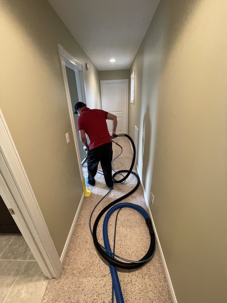 LUCID CLEAN - Updated September 2024 - 32 Photos - 6026 Kalamazoo Ave ...