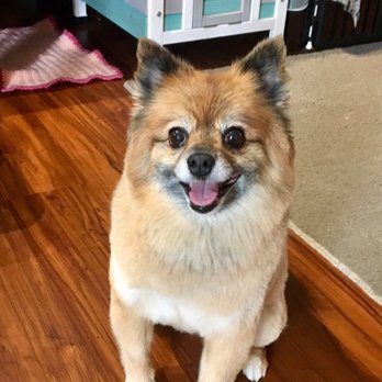 STYLE MUTT - Updated December 2025 - 33 Photos & 74 Reviews - 3525 ...