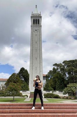 TP TEA - Updated October 2025 - 594 Photos & 368 Reviews - 2383 ...