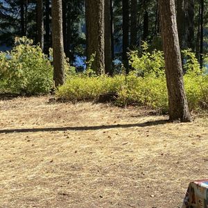 LAKE EASTON STATE PARK - 85 Photos & 44 Reviews - 150 Lake Easton State ...